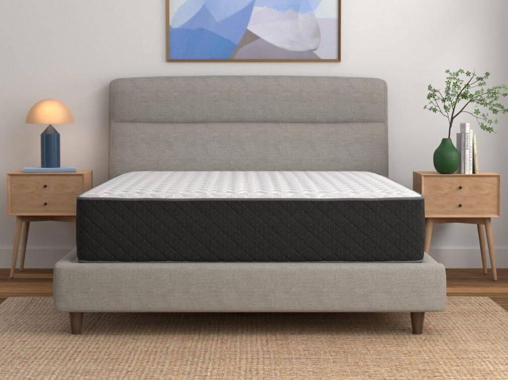 Sleep, Inc.™ GIS123Z-1050 Oasis III Medium Firm Queen Mattress #4183018 ...