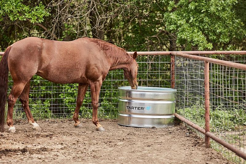 Tarter WTR32 3 x 2-Foot 105-Gallon Round Steel Ultra Stock Tank at ...