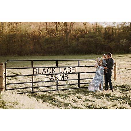 Tarter 6EBL16 16-Foot X 50-Inch 6 Bar Economy Tube Gate at Sutherlands