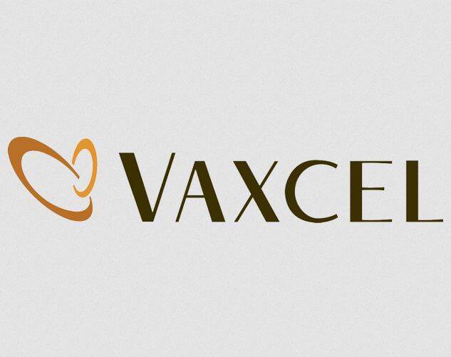 VAXCEL Lighting Lights T0699 Bronze 2-Light LED Outdoor Motion Sensor ...