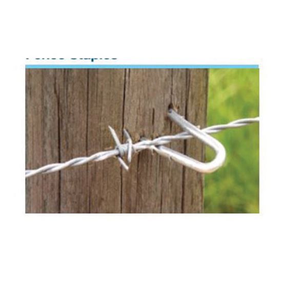 SASCO STPH112B50 50-Pound, 1-1/2-Inch, Staple Barbed Fence at Sutherlands
