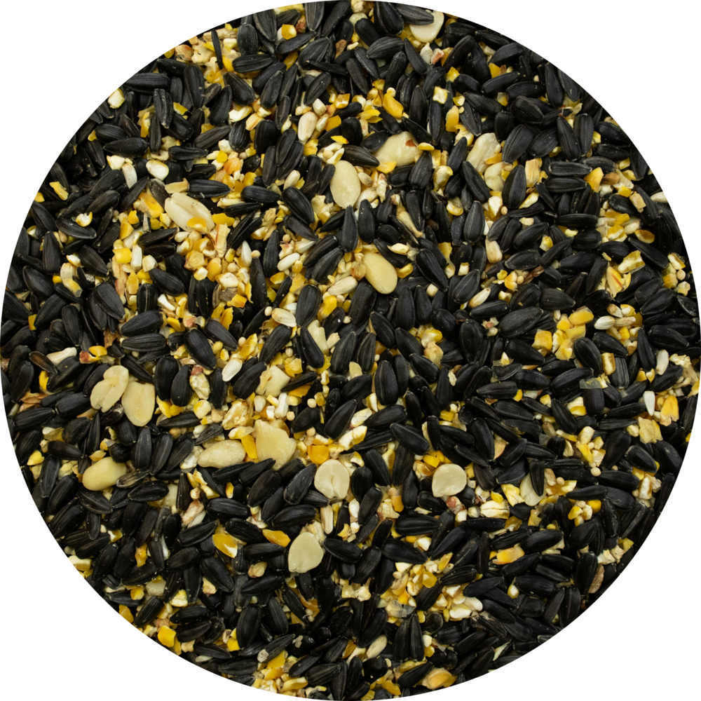 Bird Pro 016-0032 5-Pound Year-Round Cardinal's Favorite Bird Seed at ...