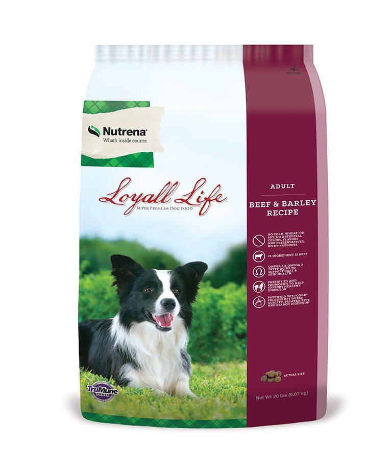 Nutrena 36445-40 40-Pound Loyall Life® Adult Beef And Barley Dog Food ...