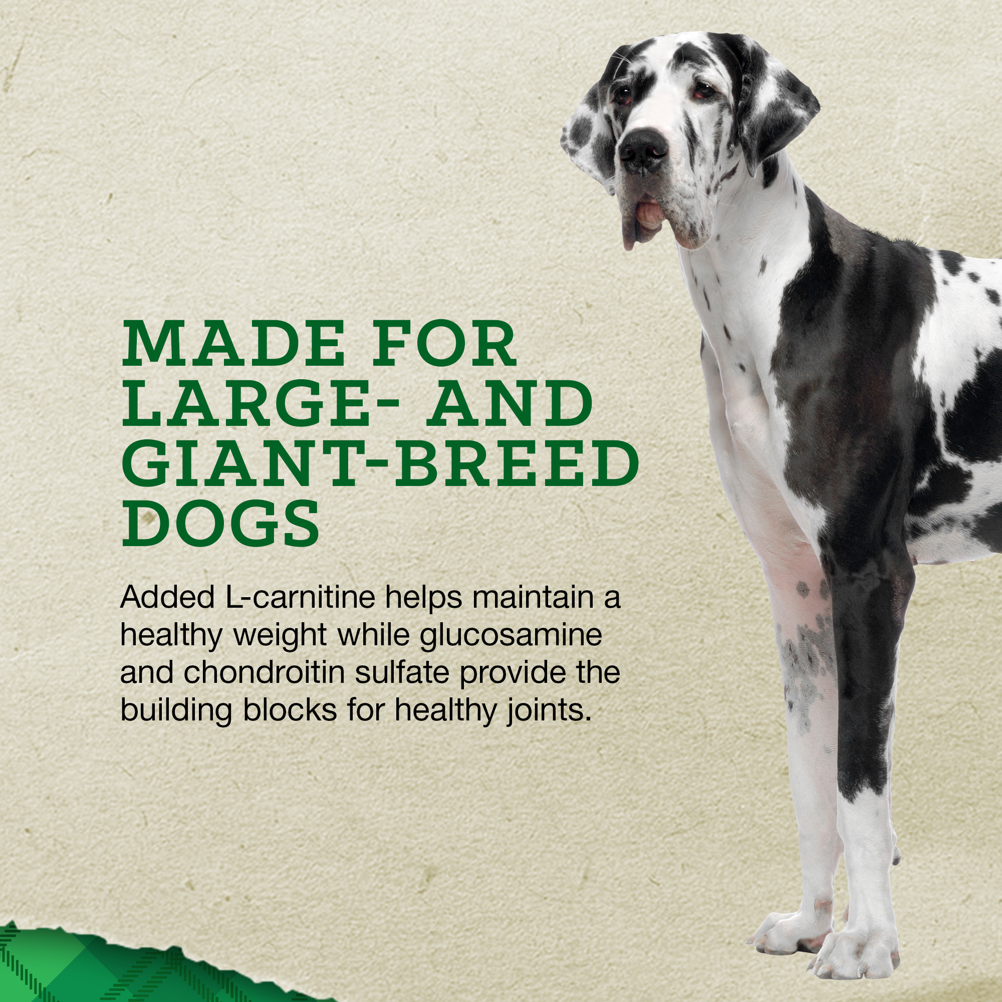 Nutrena 136038-40 Loyall Life Adult Large Breed Chicken & Brown Rice ...