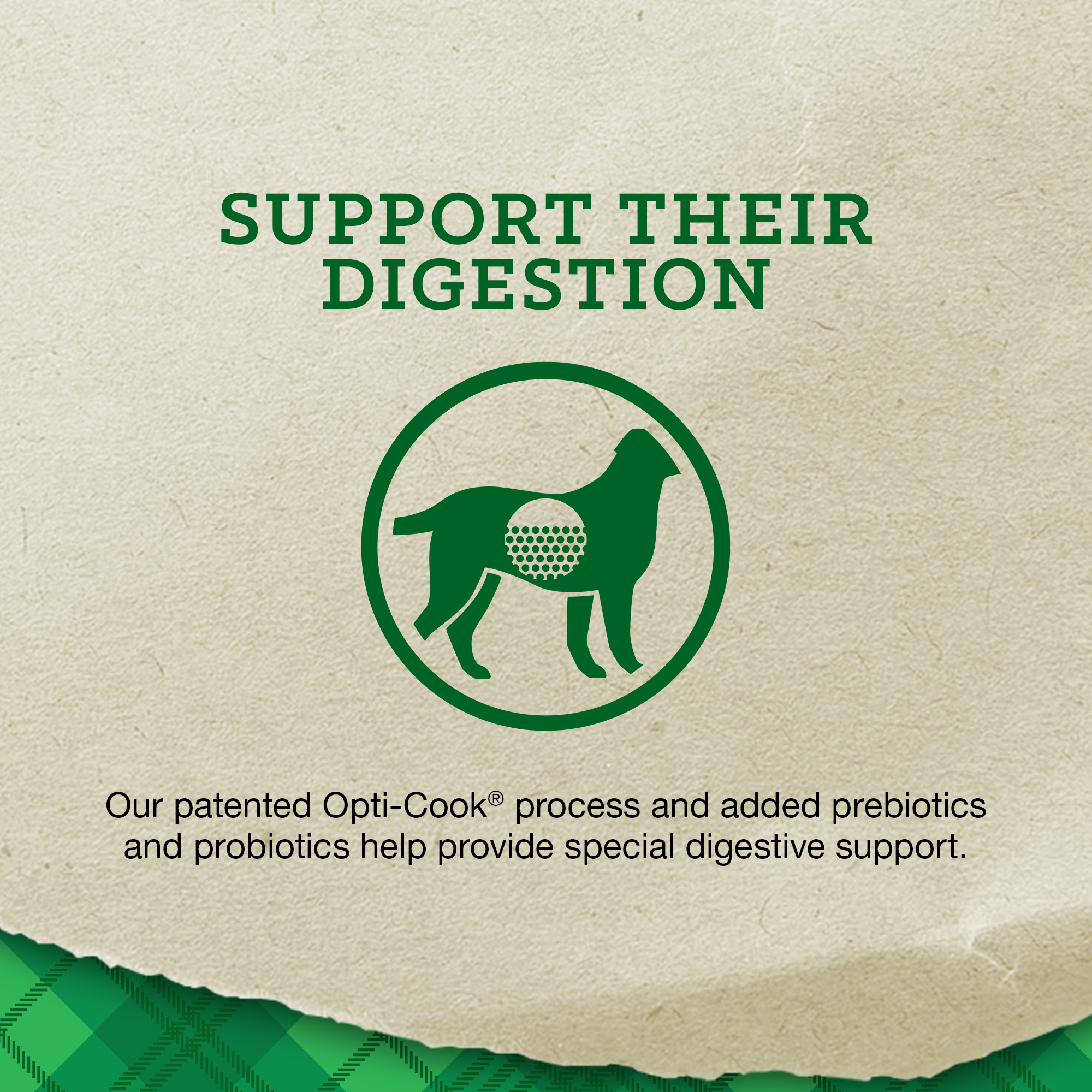 Nutrena 136038-40 Loyall Life Adult Large Breed Chicken & Brown Rice ...