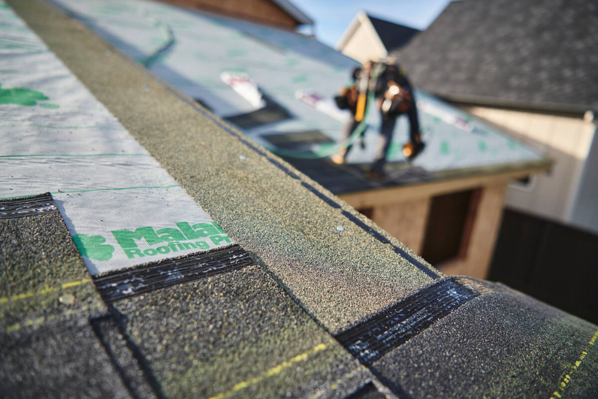 Malarkey STARTER SHINGLE Smart Start® Polymer Modified Asphalt Starter ...