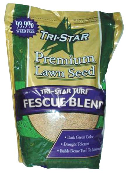 Tri Star Seed 5LB Premium Turf Fescue Blend Grass Seed, 5-Pound at ...