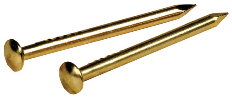 HILLMAN™ 532630 1-Inch X 18 Brass Plated Escutcheon Pin at Sutherlands